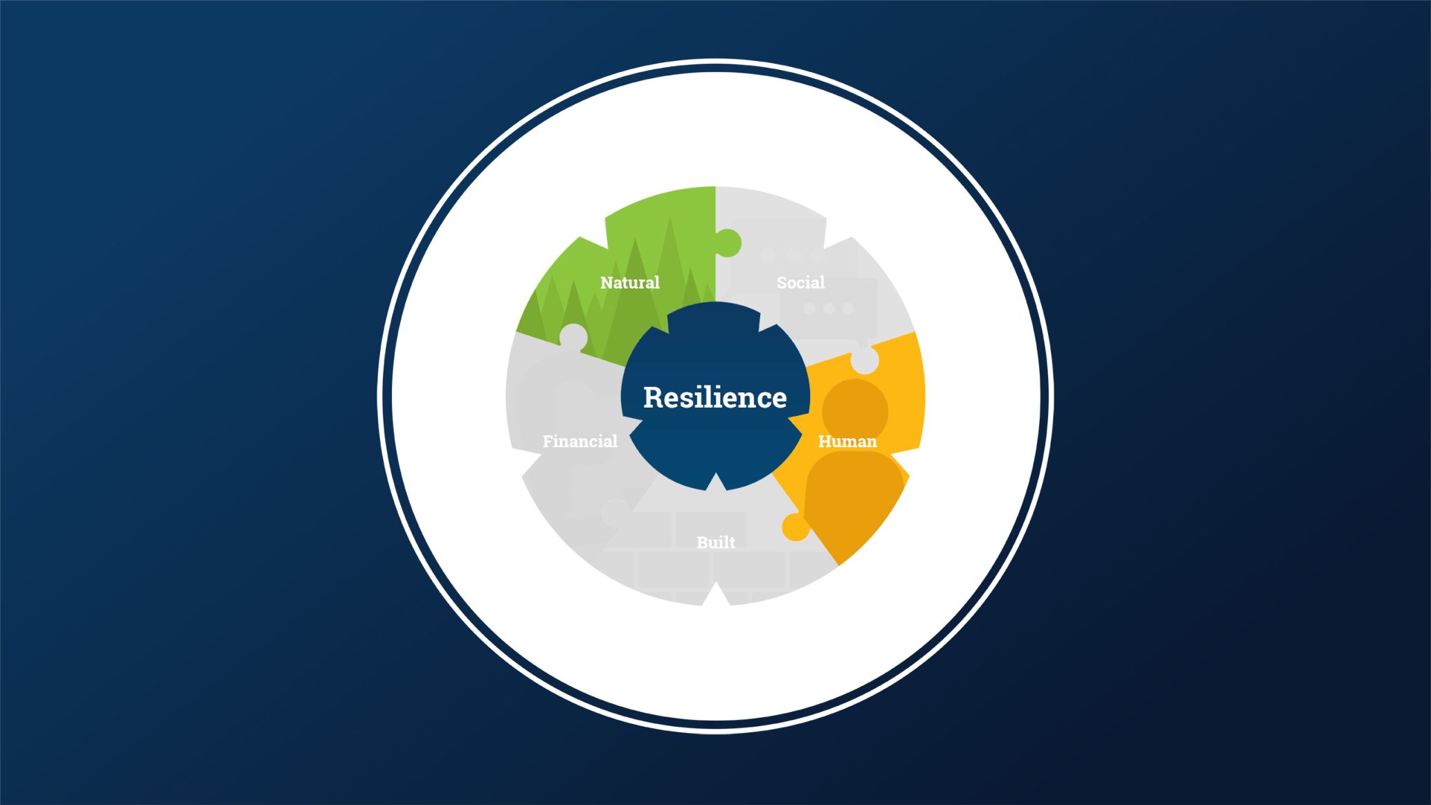 The Resilience Institute