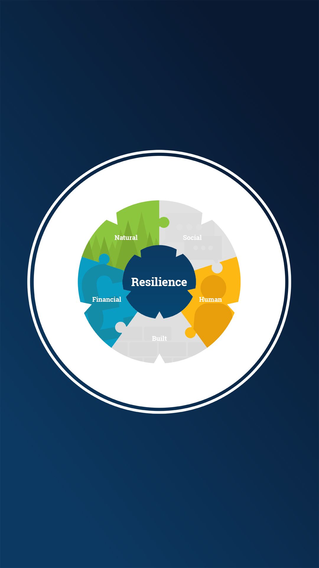 The Resilience Institute