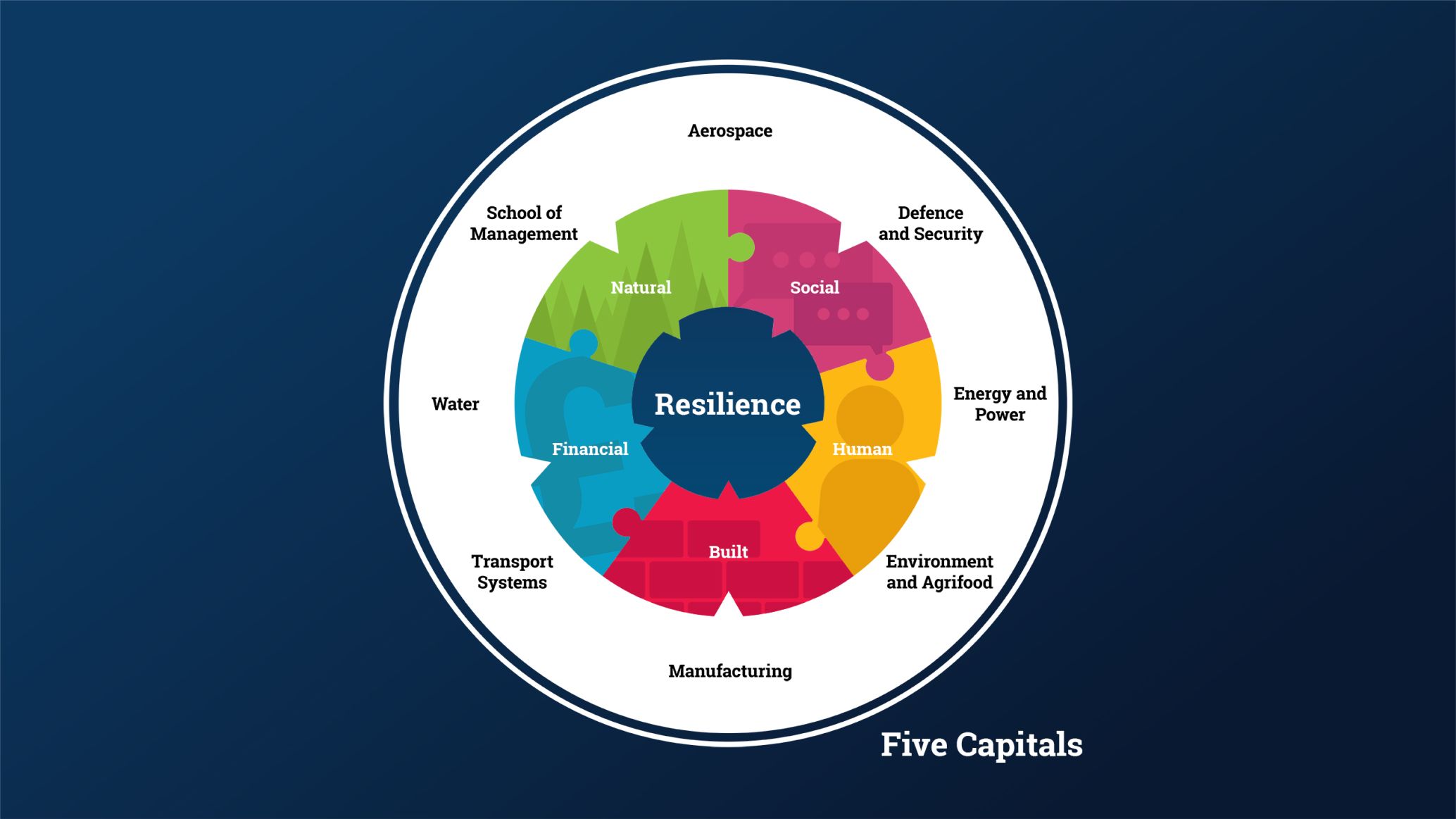 The Resilience Institute